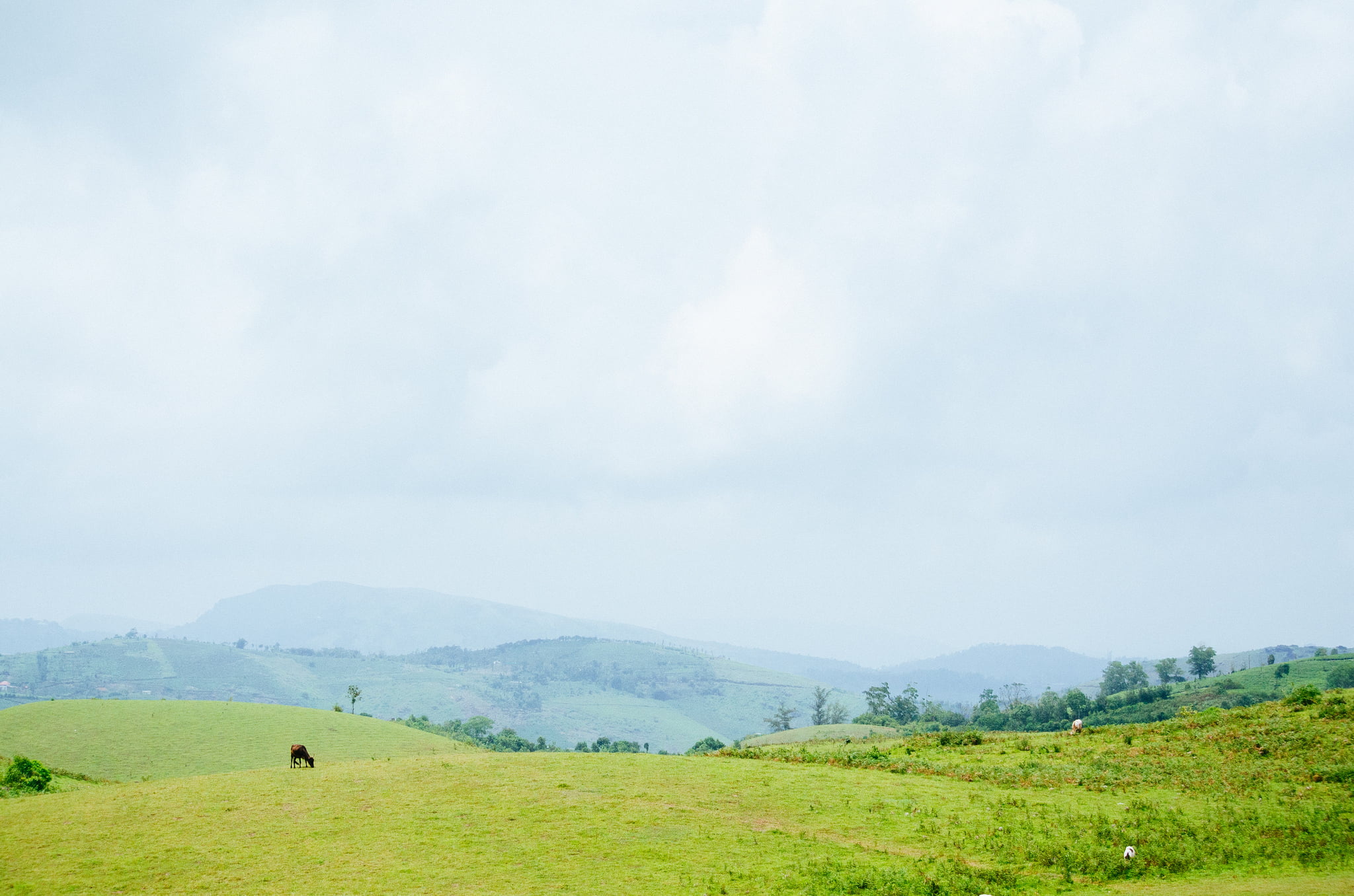 vagamon-barren-hills - ED Times | Youth Media Channel