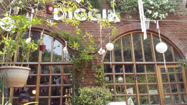 "Do Not Dig In At Diggin" : ED Reviews The Diggin Café