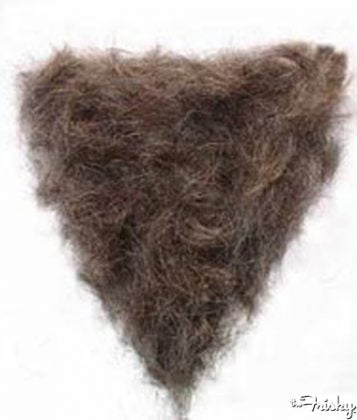 8 Of The Hottest Body Hair Trends Of 2017 You Probably Had No Idea About