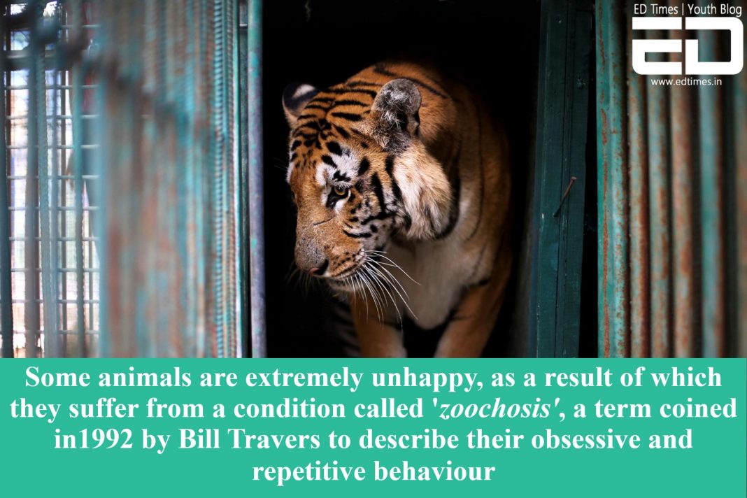 In Pics: The Harsh Reality Of Zoos: Animals Suffering From Depression