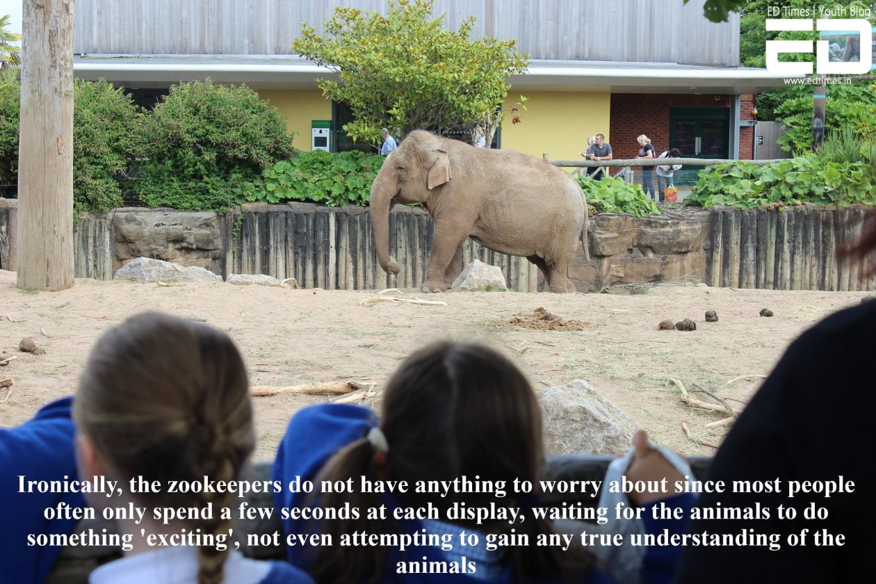 In Pics: The Harsh Reality Of Zoos: Animals Suffering From Depression