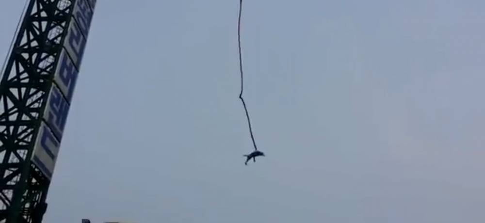Some Scary Things About Bungee Jumping That Will Make You Think Twice