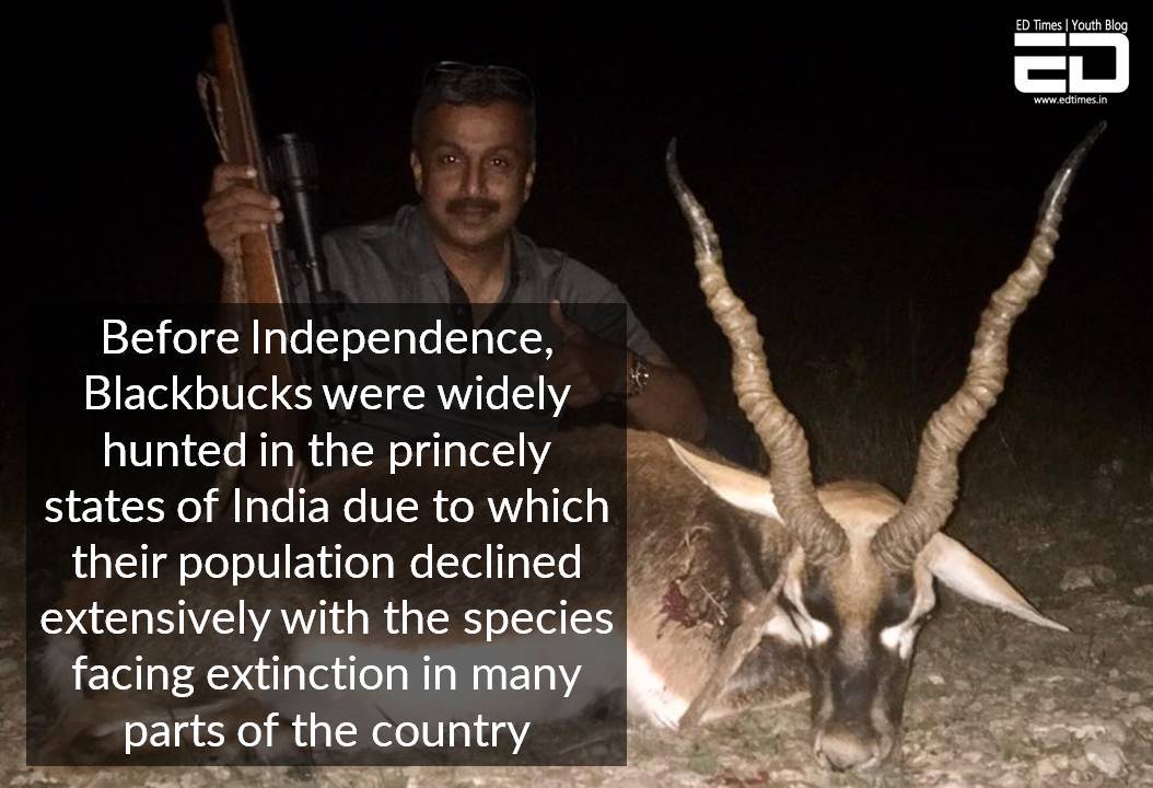 In Pics: Why Is The Blackbuck So Special In India That It Finally Sent ...