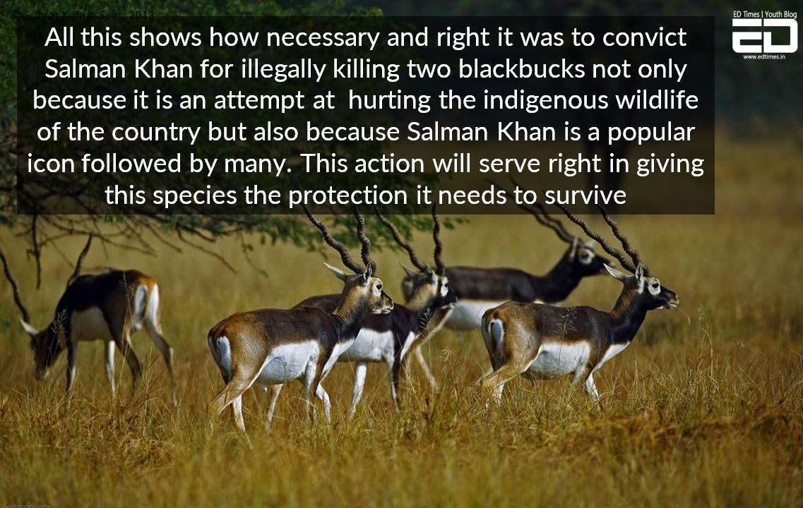 In Pics: Why Is The Blackbuck So Special In India That It Finally Sent ...