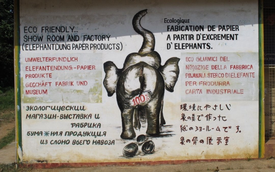 Take A Look At The Elephant Poop Paper Innovators Making Eco-Friendly Paper