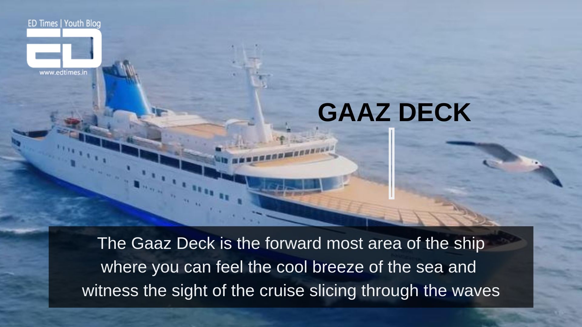 In Pics: Meet Angriya: India’s Very First Luxury Cruise From Mumbai To Goa