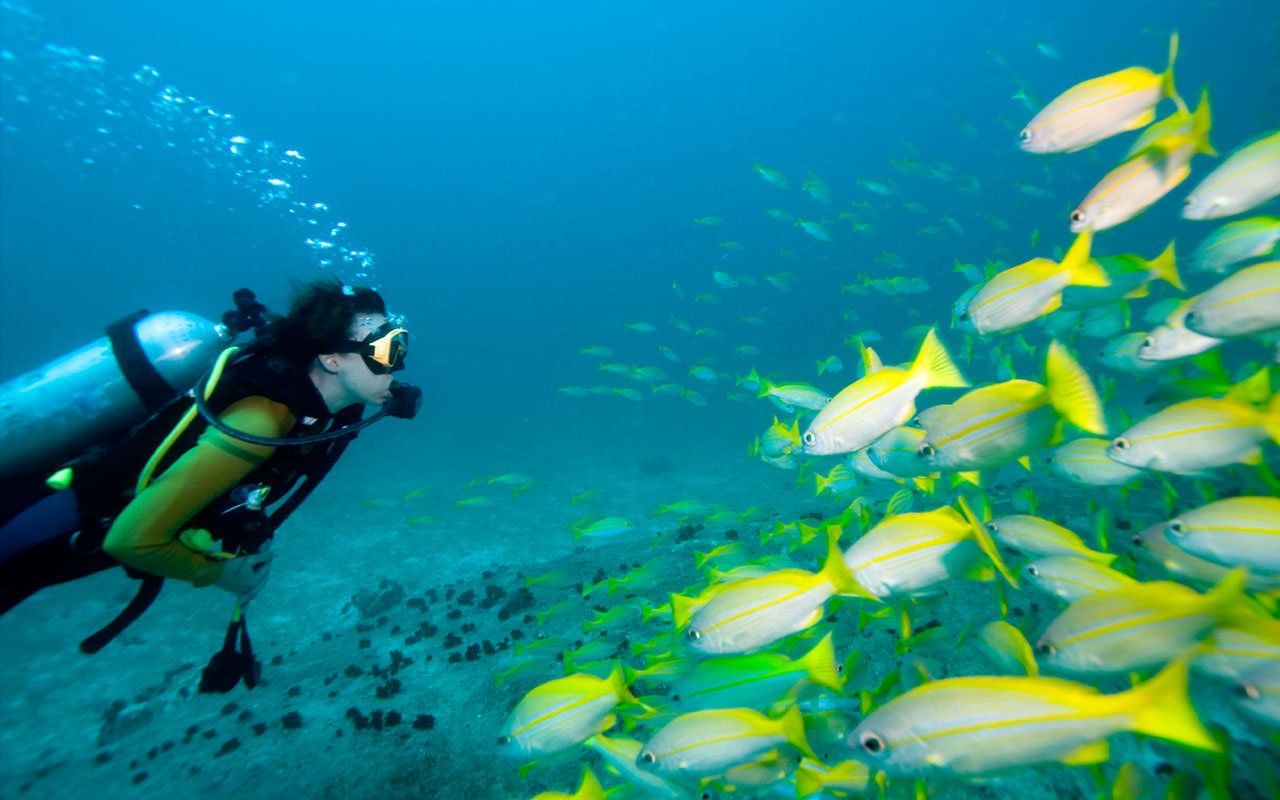 How My First Experience Of Scuba Diving Changed The Way I Look At Life