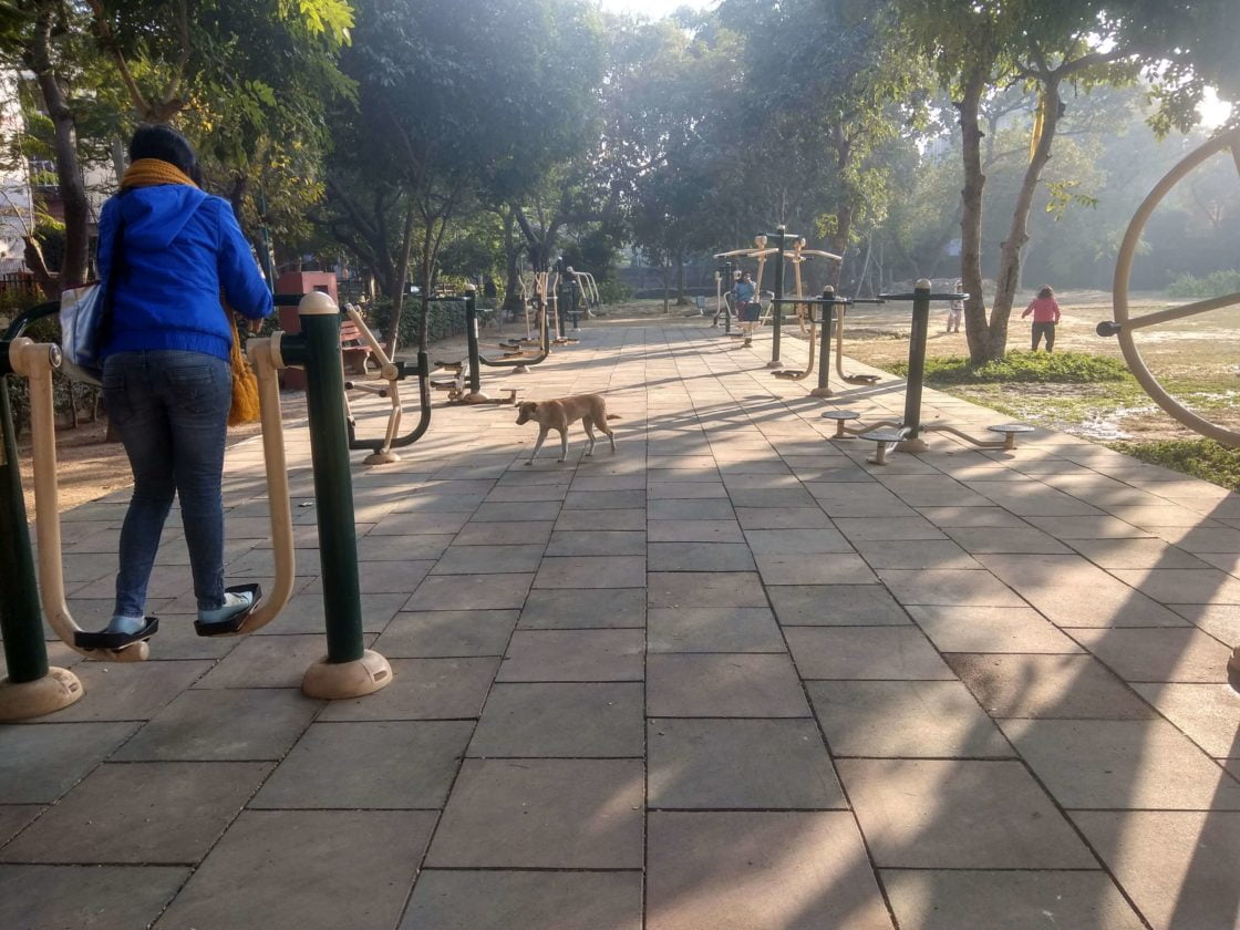 There Is A Free Gym In A Saket Park And We LivED It