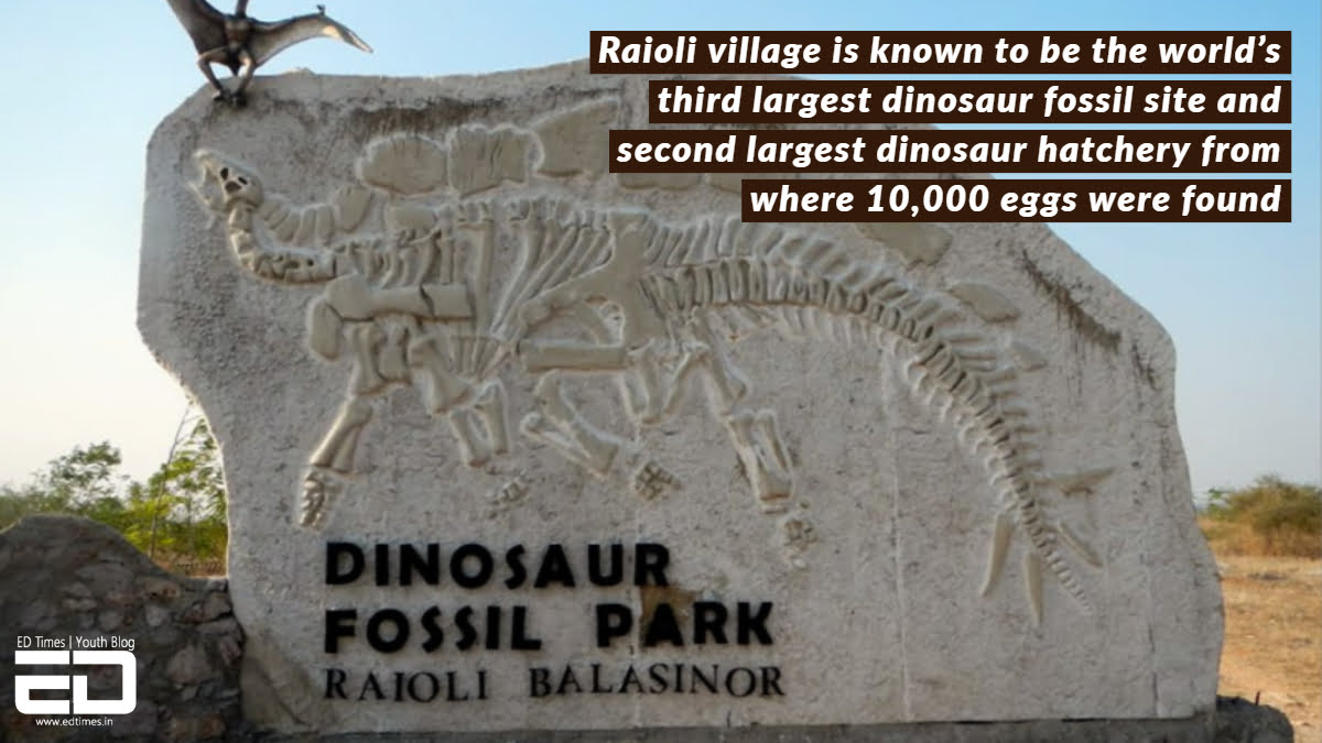 In Pics: India's First Dinosaur Museum And Fossil Park Is A Reality Now