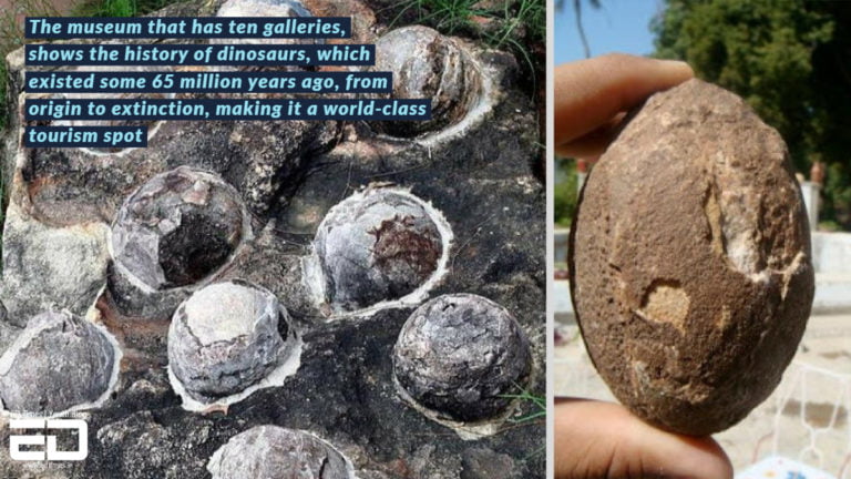 In Pics: India's First Dinosaur Museum And Fossil Park Is A Reality Now