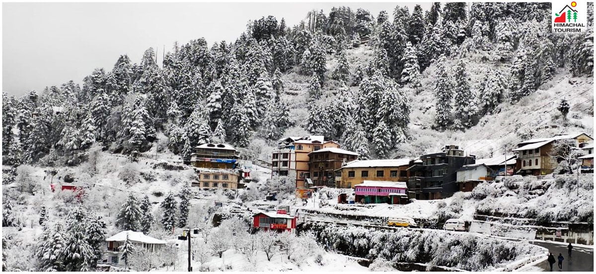 In Pics: With Northern India Covered In Snow, We Take A Look At Our ...
