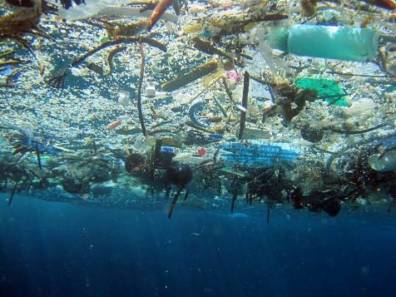 Coca-Cola Launches Sea Green Bottles Made From Marine Plastic To Fight ...
