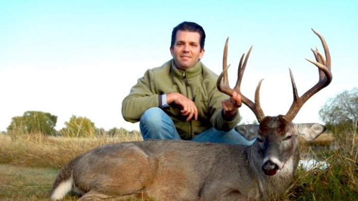 Donald Trump’s Son Won A 'Lucky Draw' To Hunt Down The Alaska Grizzly Bears