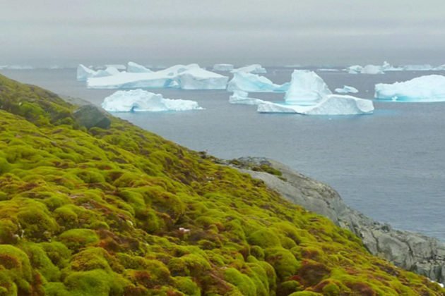 In Pics: Global Warming Causes Vast Chunks Of White Antarctica To Turn ...