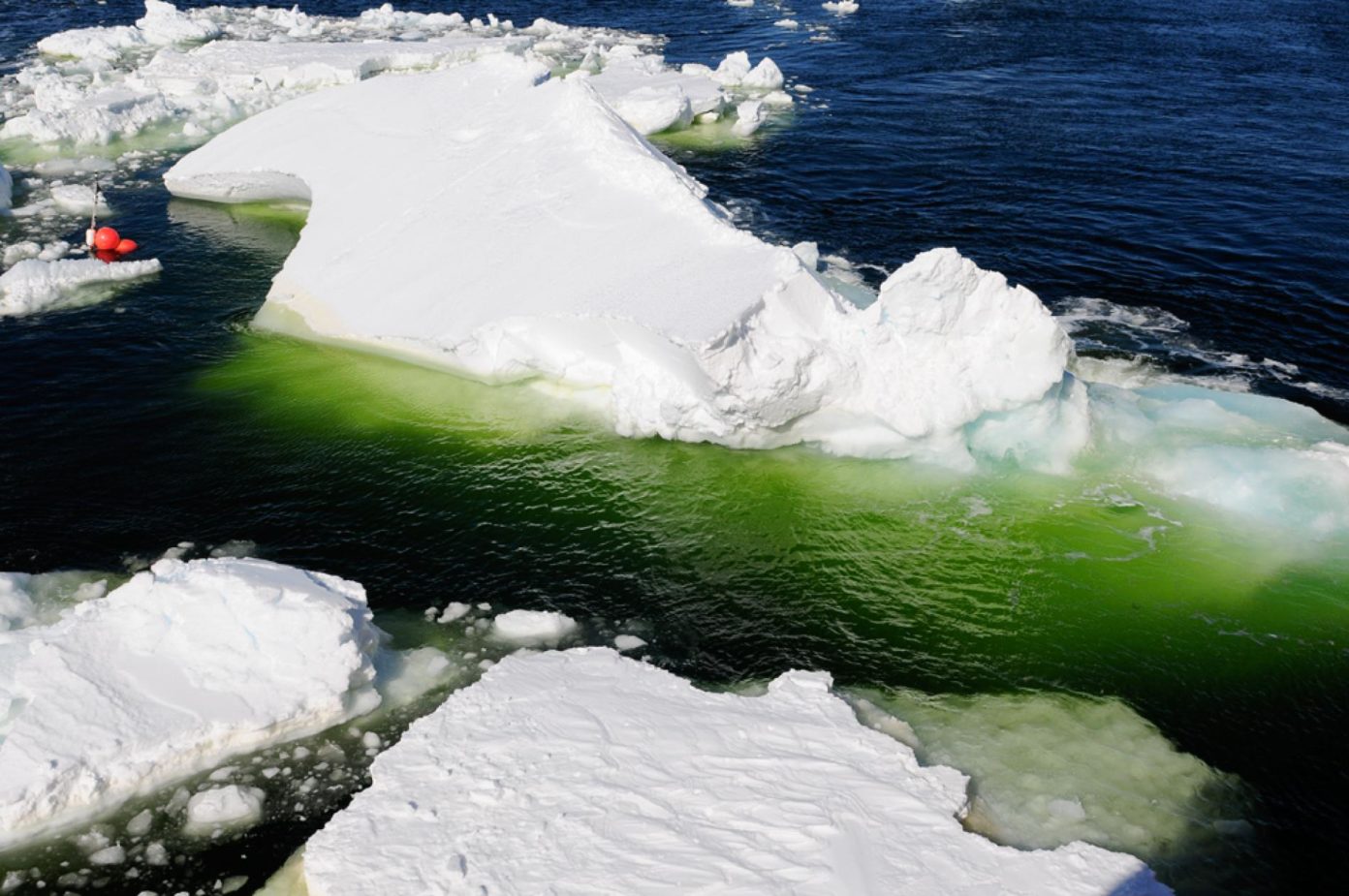 In Pics: Global Warming Causes Vast Chunks Of White Antarctica To Turn ...