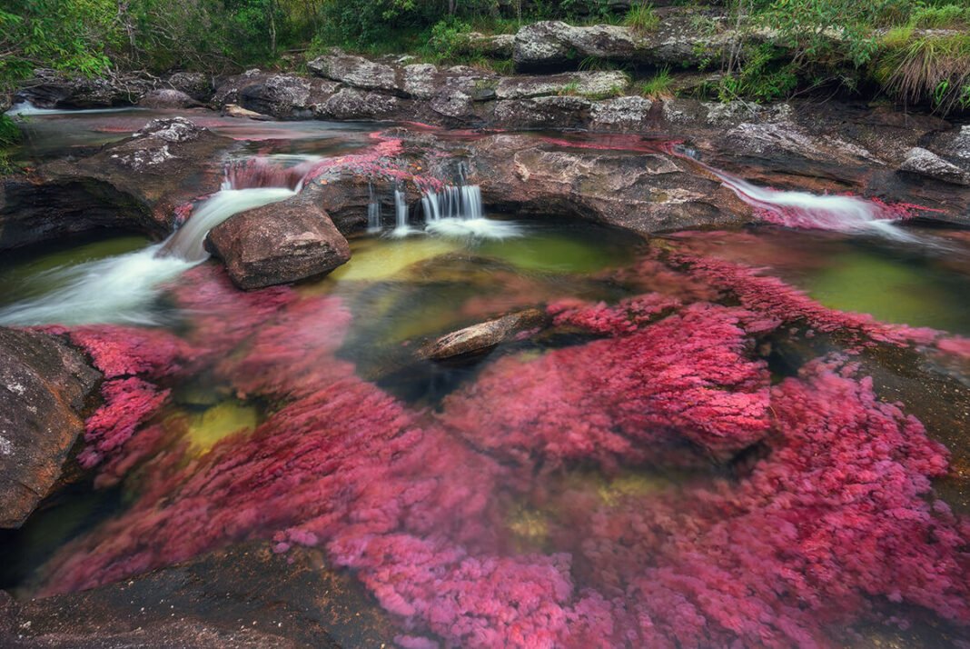 The Most Beautiful River In The World Is A Breathtaking Combination Of ...