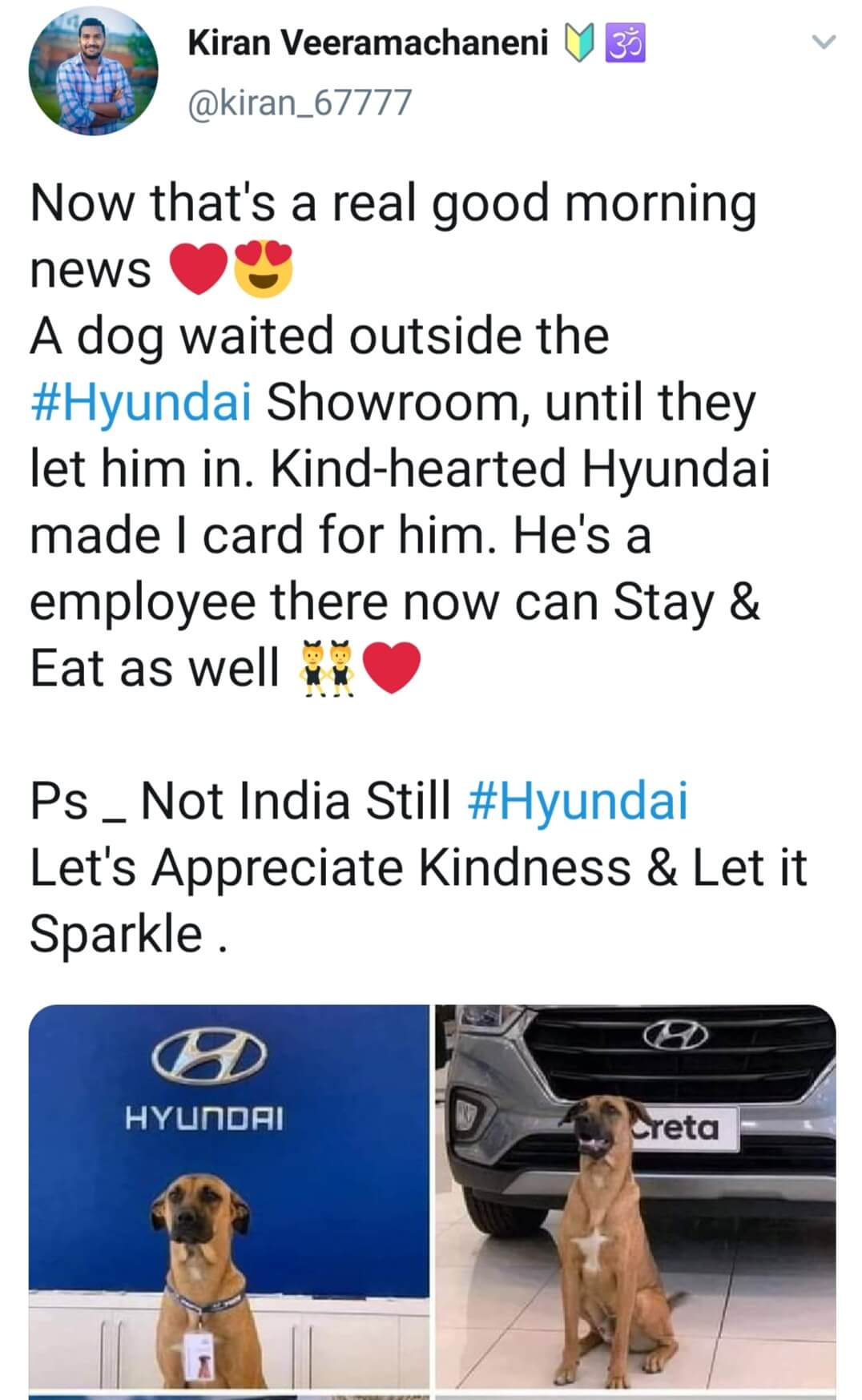 A Brazil Hyundai Showroom Adopts Stray Dog, Makes Him Salesperson In ...