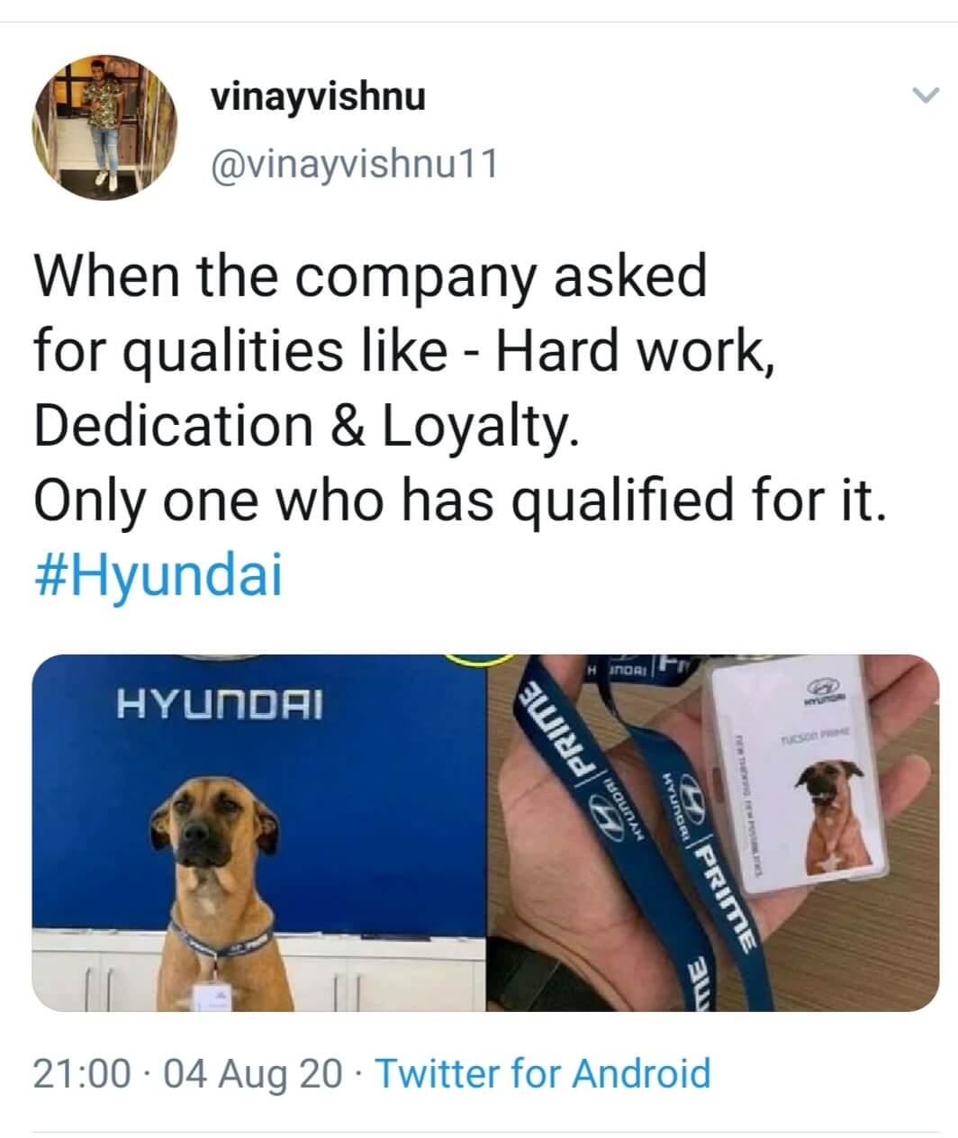 A Brazil Hyundai Showroom Adopts Stray Dog, Makes Him Salesperson In ...