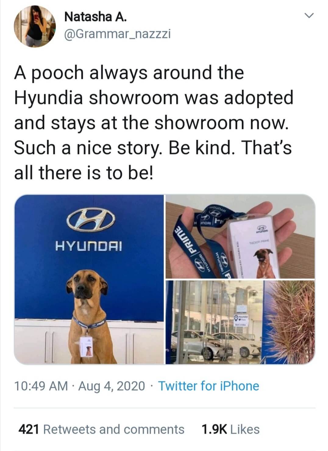 A Brazil Hyundai Showroom Adopts Stray Dog, Makes Him Salesperson In ...
