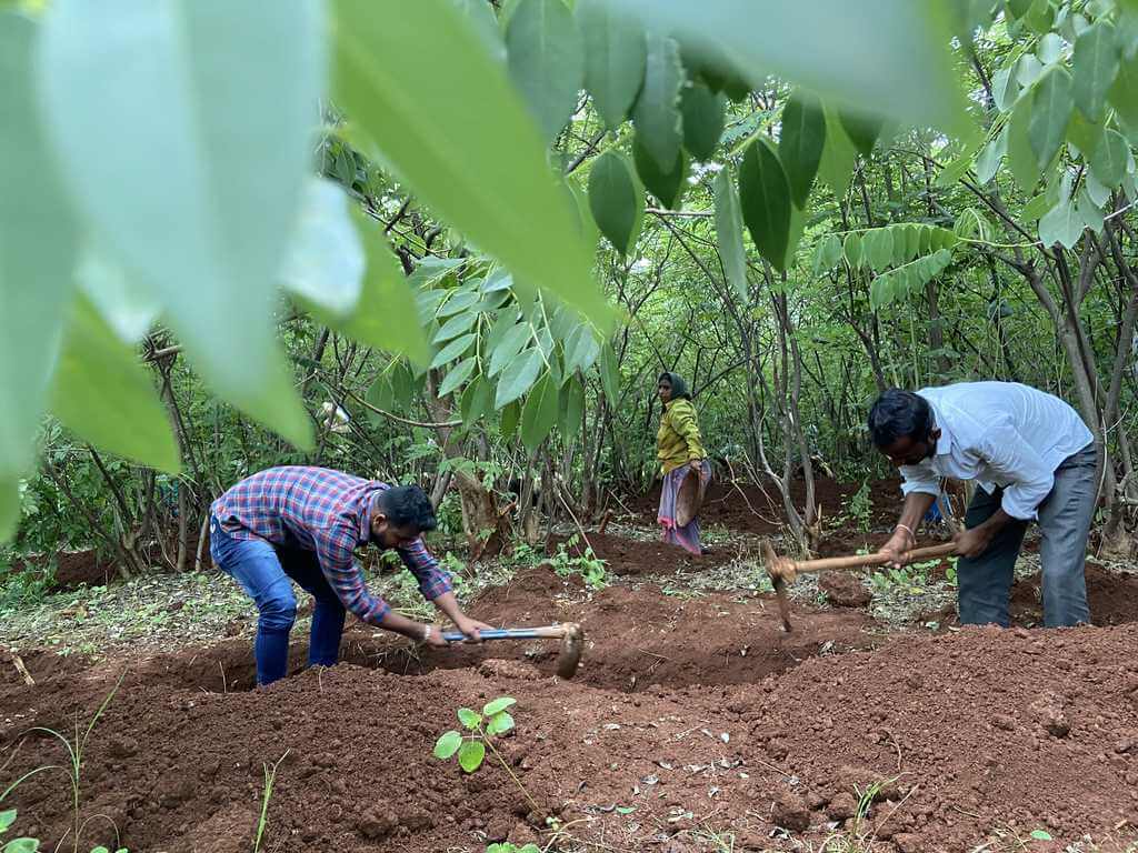 Indian Engineers And MBAs Are Taking Manual Labour Jobs To Beat ...
