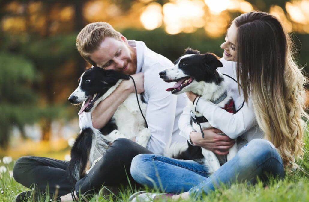 6 Amazing Ways People Show Love to their Pets