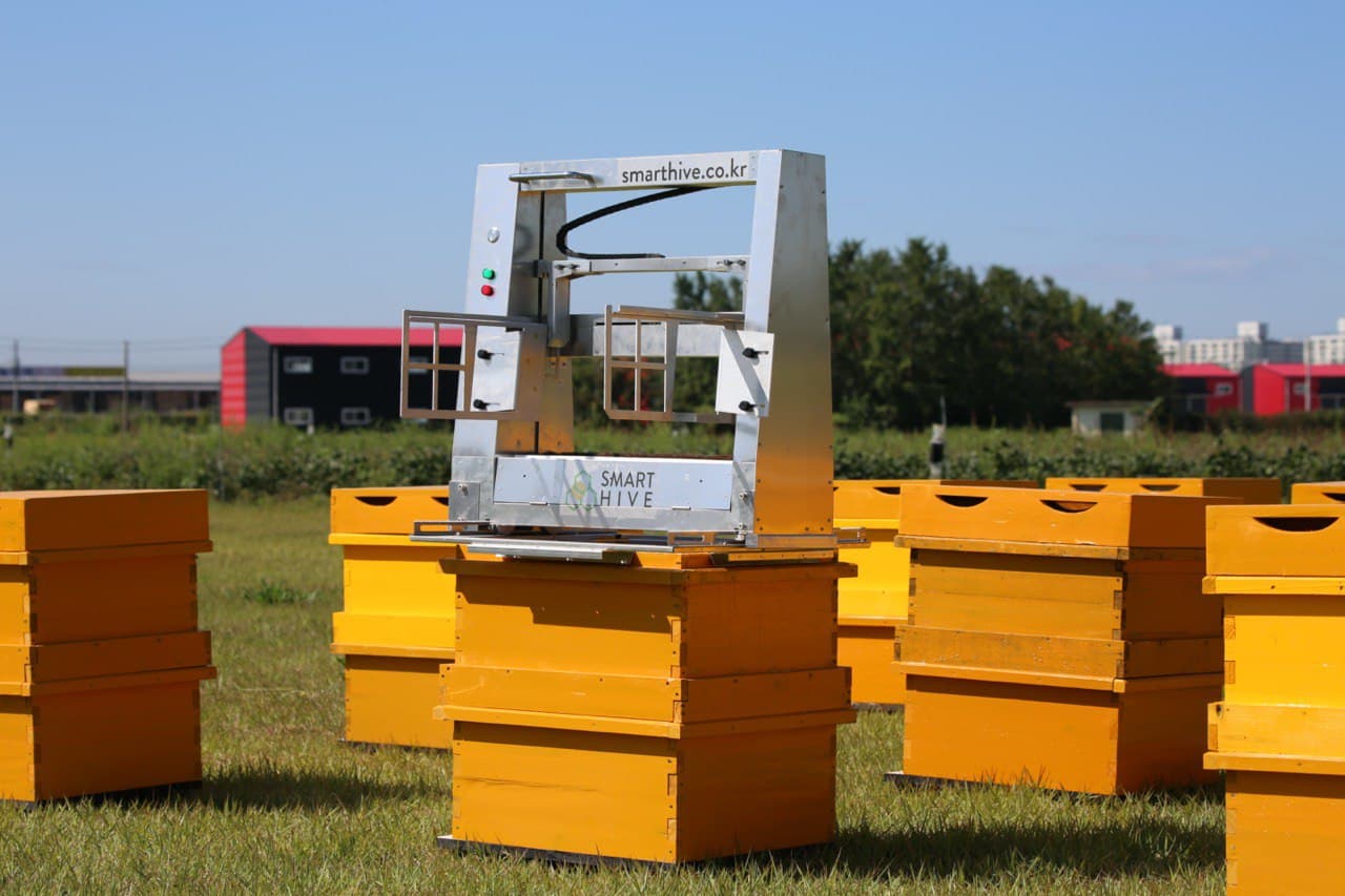 DAESUNG (SMART HIVE) Introduces Its Most Advanced Automatic Beekeeping ...