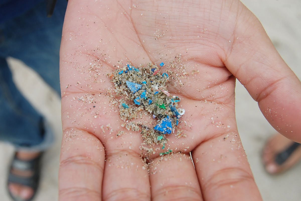 Placenta With Plastics: Microplastic Pollution Reaches The Unborn Babies