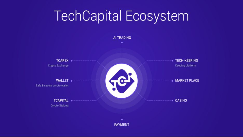 Tech Capital Holdings Launched Trading Platform: Tcapex