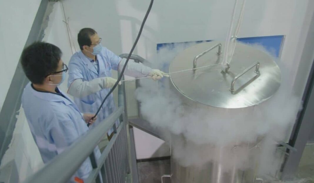 Cryonic Preservation Technique Lets You Preserve Your Body And Wake Up ...
