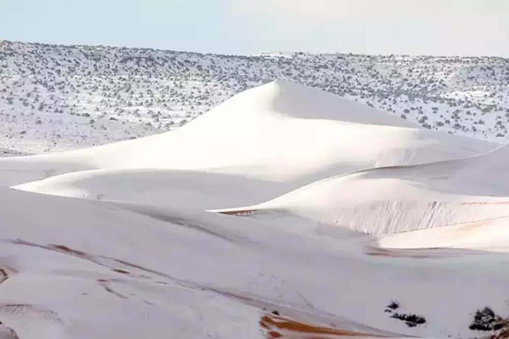In Pics: Stunning Images Of Snow In Sahara Desert