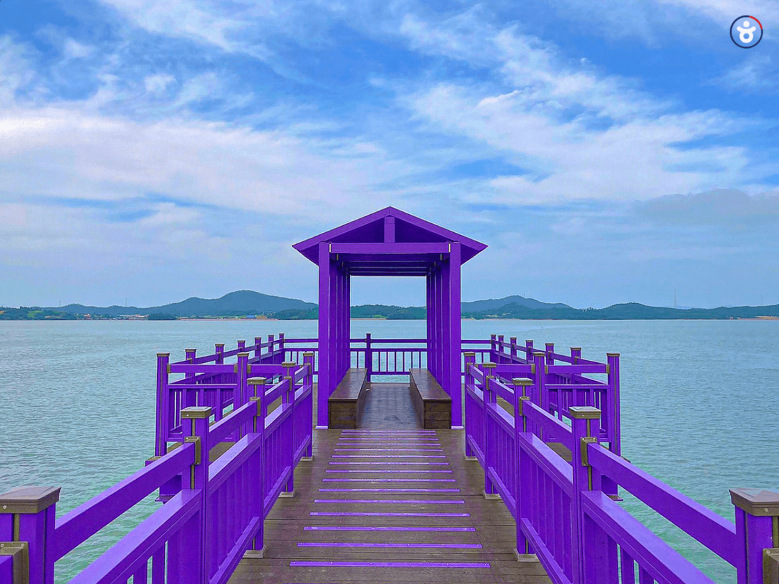 In Pics: South Korea's Purple Islands Are Trending For Being All Purple ...