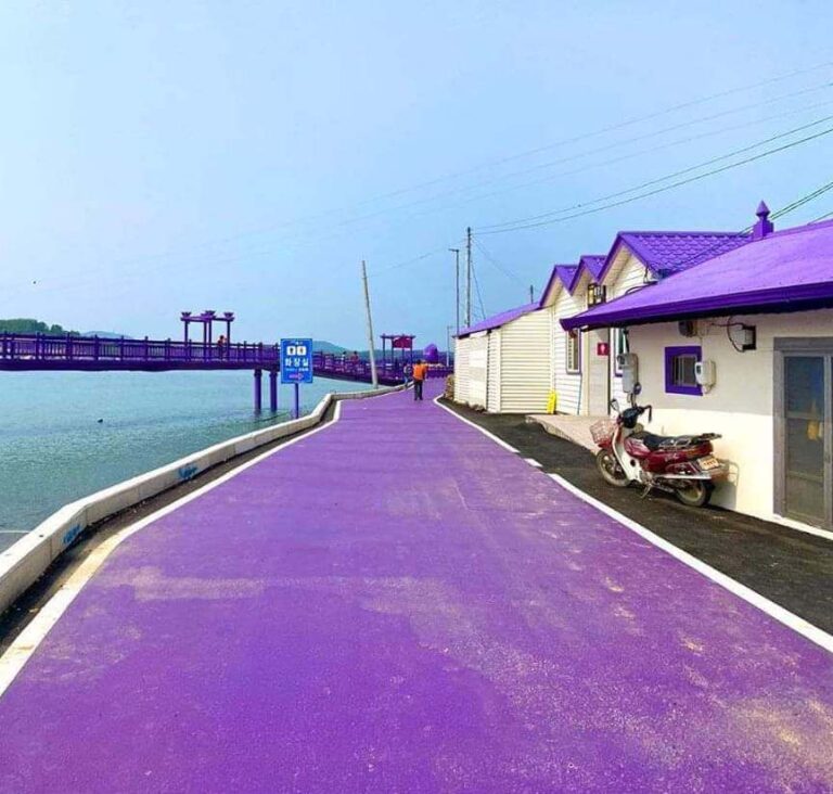 In Pics: South Korea's Purple Islands Are Trending For Being All Purple ...