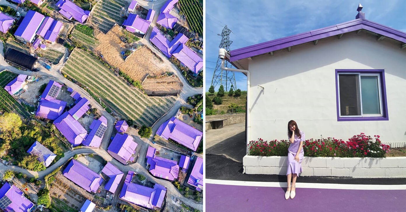 In Pics: South Korea's Purple Islands Are Trending For Being All Purple ...