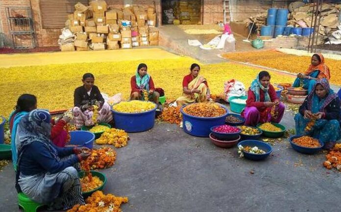 Indian Startup Recycles Floral Waste From Ganges To Make Incense Sticks