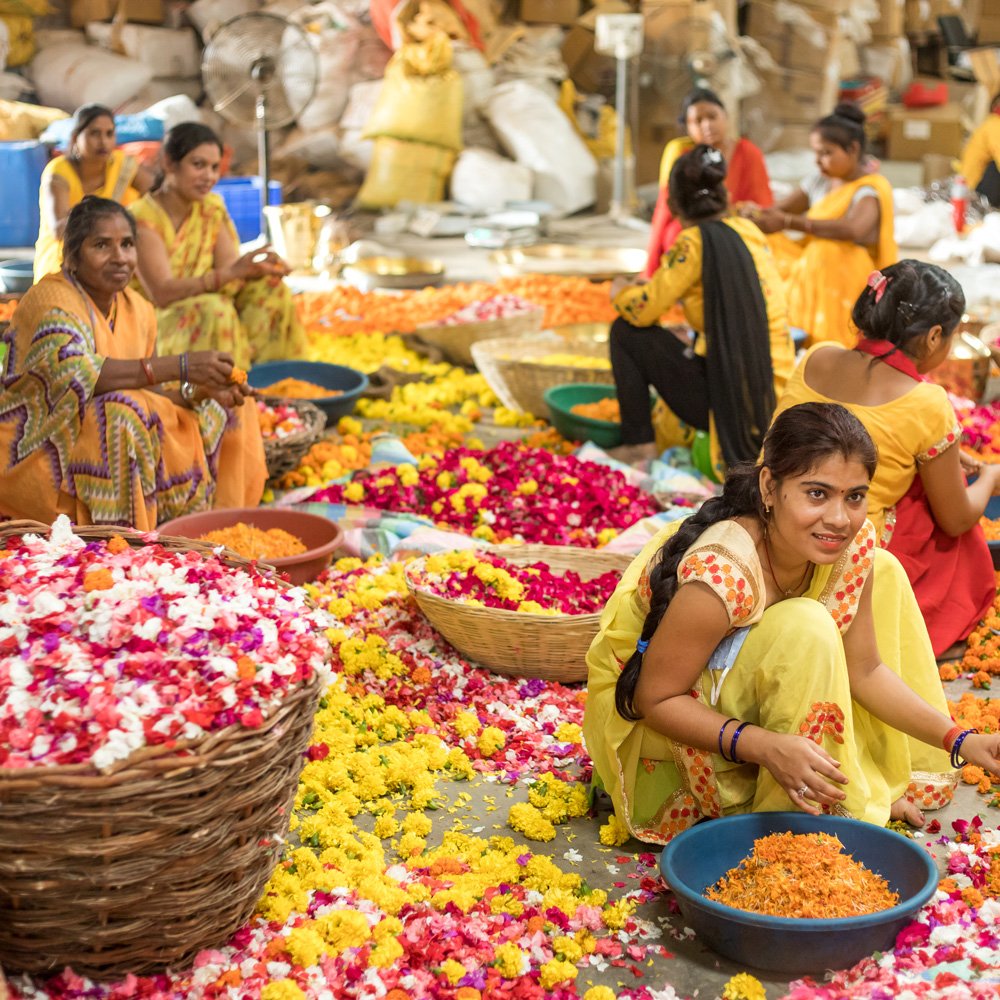 Indian Startup Recycles Floral Waste From Ganges To Make Incense Sticks
