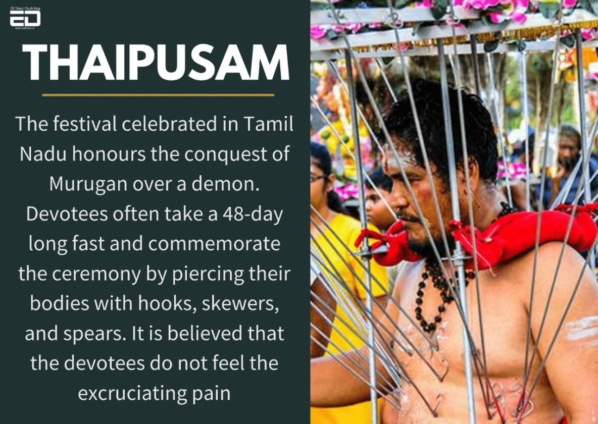 In Pics: Unusual Indian Festivals And Cultural Events With Bizarre ...