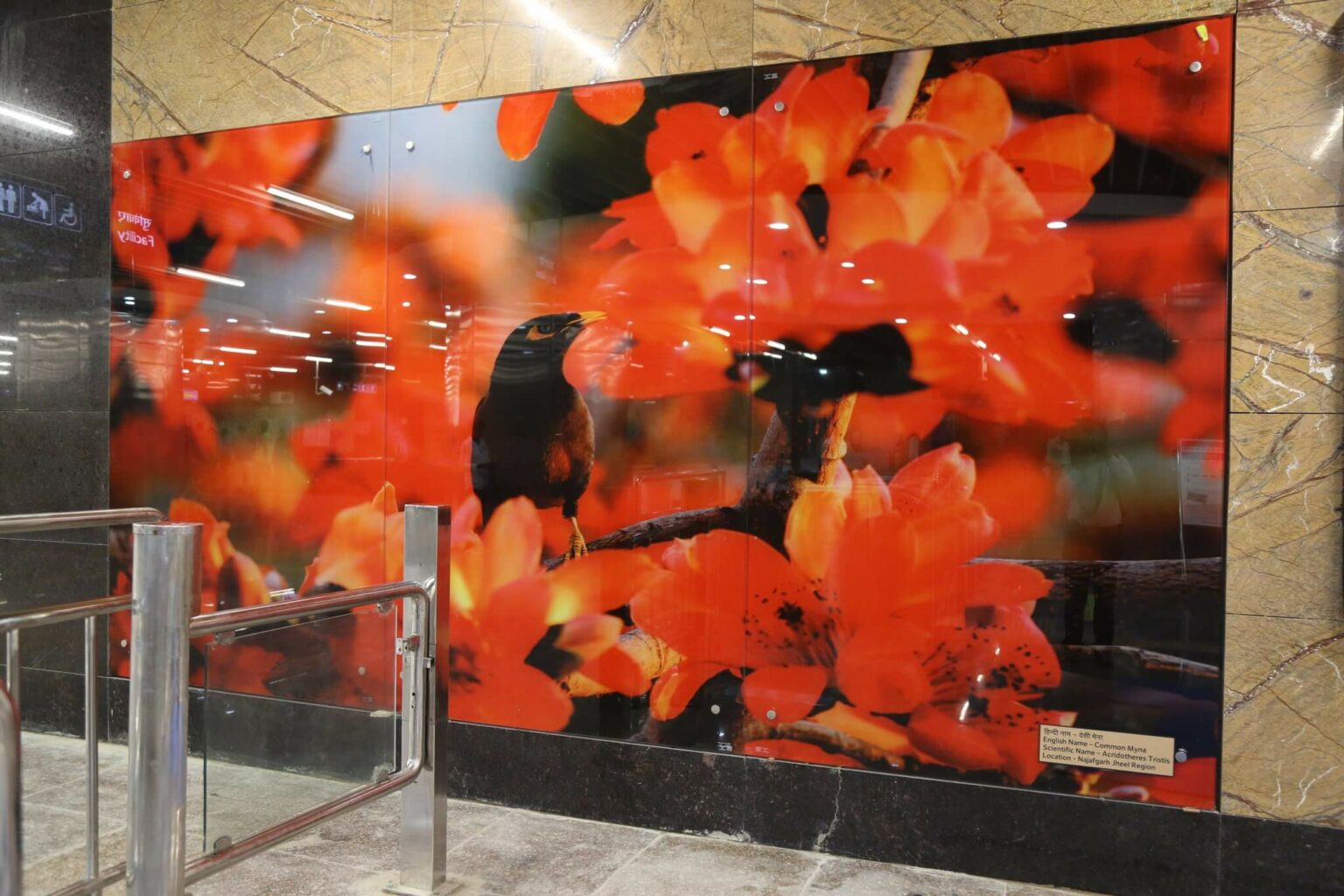 Delhi's Dhansa Bus Stand Metro Station Shows Najafgarh-Dhansa's Rich ...