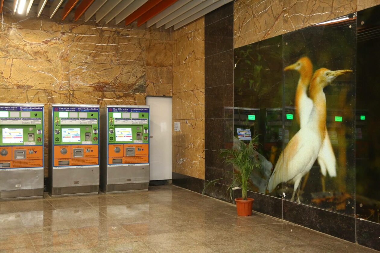 Delhi's Dhansa Bus Stand Metro Station Shows Najafgarh-Dhansa's Rich ...