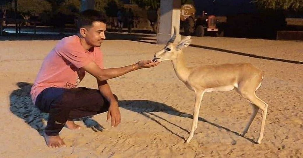 Experiences Of People Who Have Adopted Wild Animals From Mumbai ...