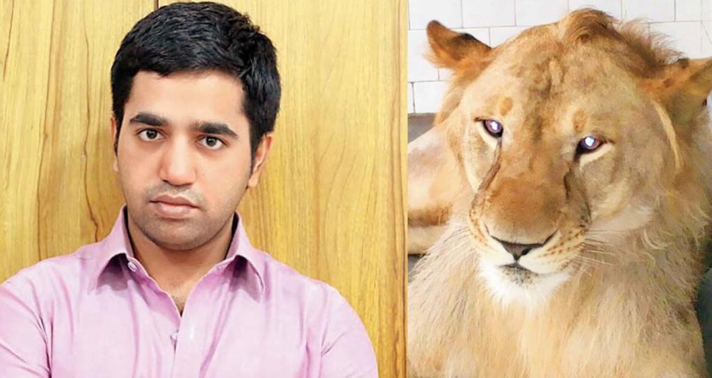 Experiences Of People Who Have Adopted Wild Animals From Mumbai ...