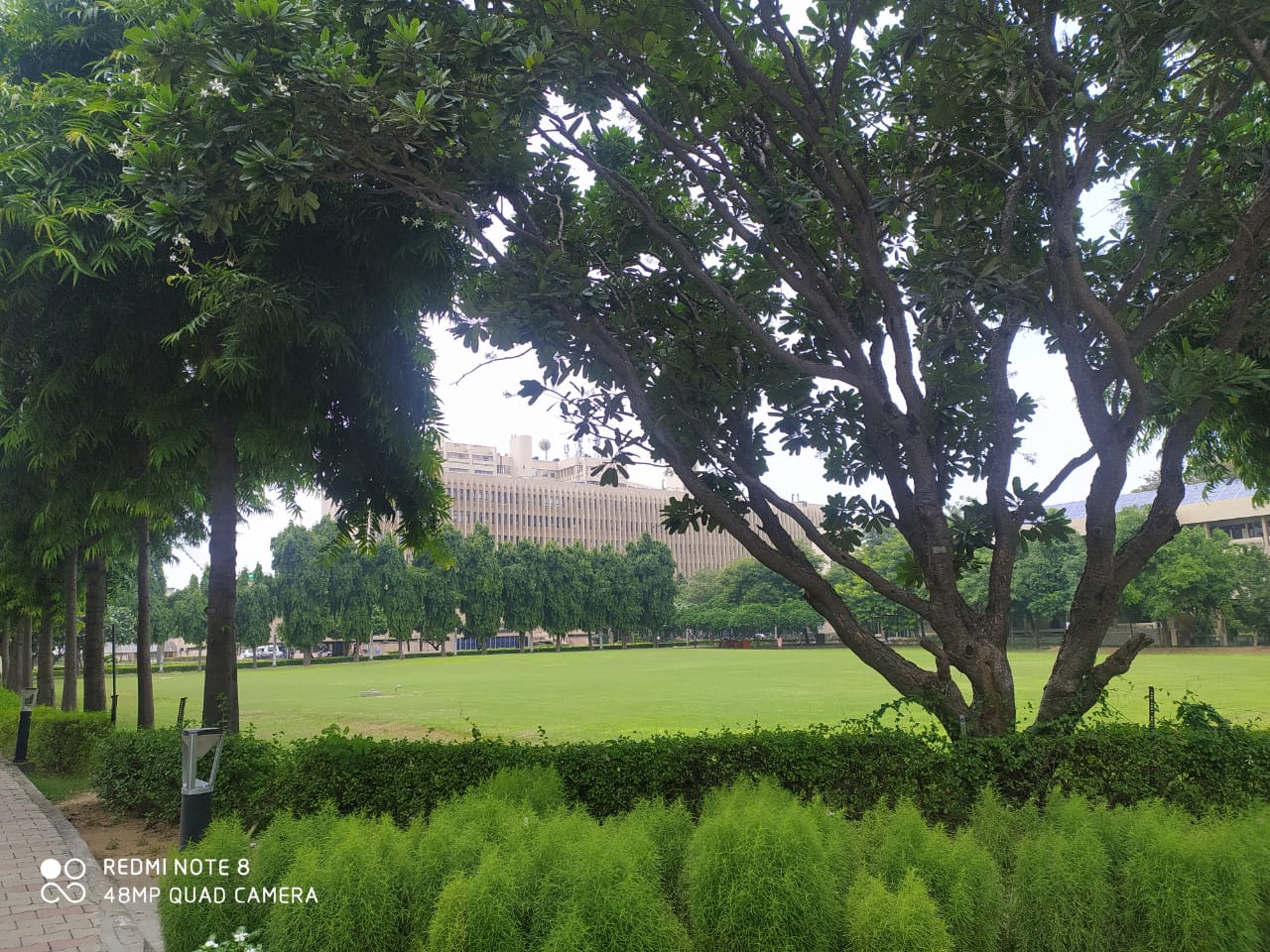 LivED It: Going To IIT Delhi As Its Student For The First Time After ...