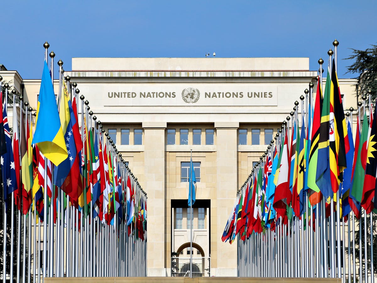 Watch: Uselessness Ranking Of Different UN Bodies