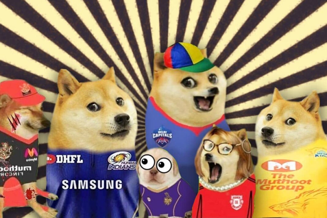 The Story Of Kabosu, The Dog Behind The Doge Meme