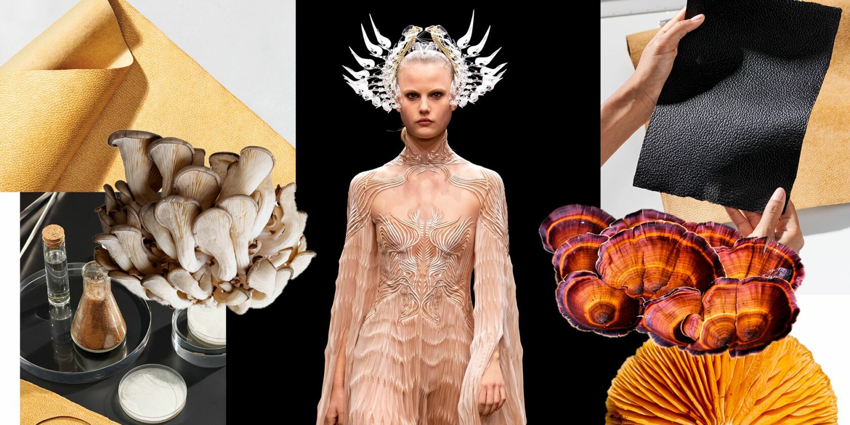 How Are Mushrooms The Future Of The Fashion Industry?
