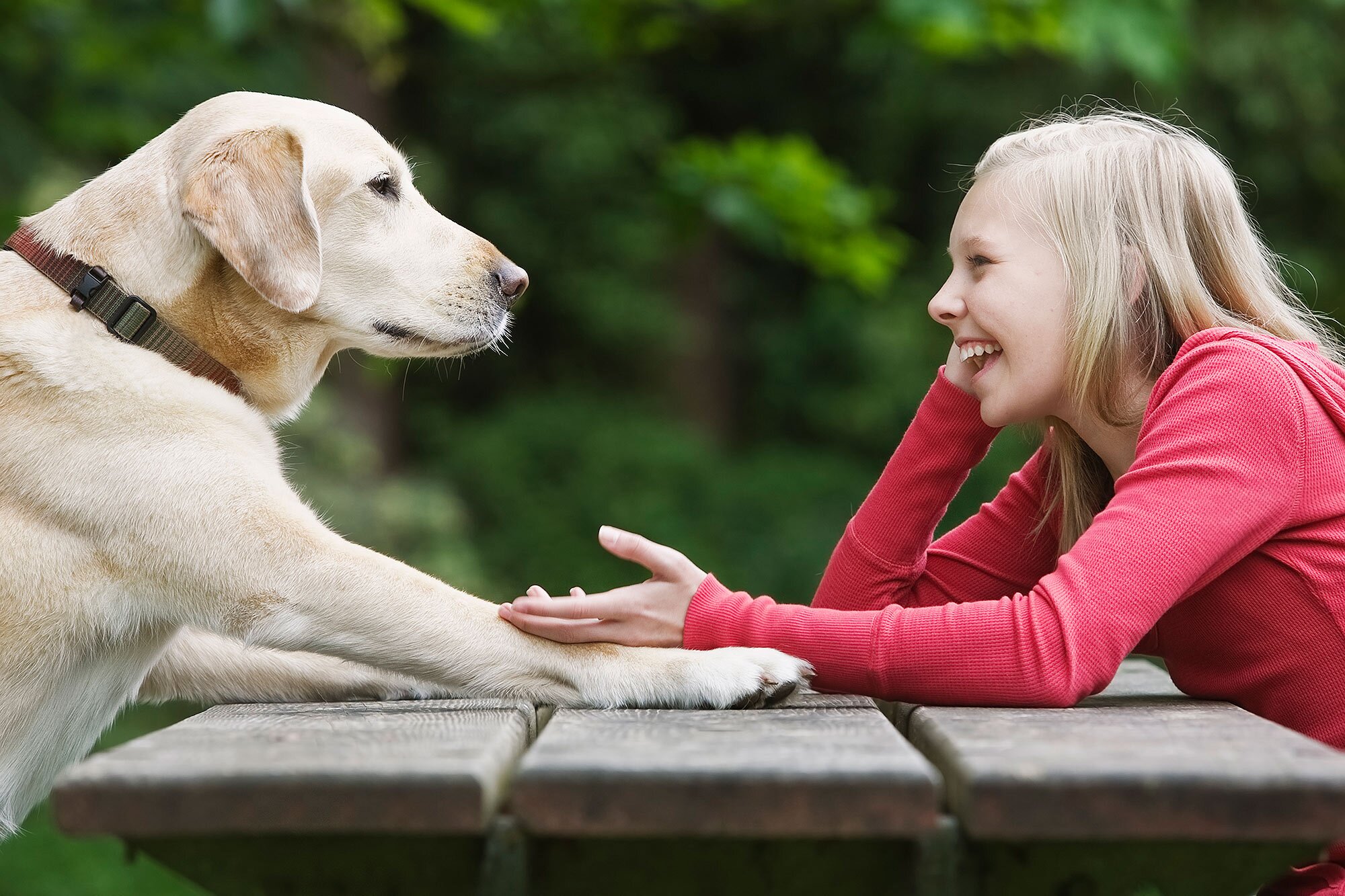 Dog sitting across from girl on picnic table - ED Times | Youth Media ...