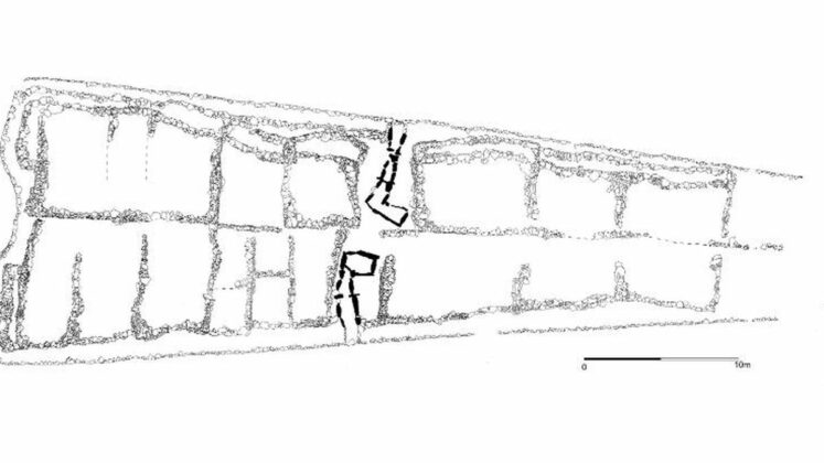 World's Oldest Family Tree Gives Insight About Period Before Records ...