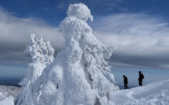 In Pics: What Are These Snow Monsters Or Juhyos Of Japan?