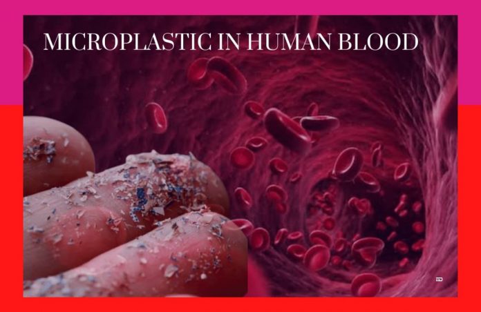 These Most Common Forms Of Everyday Plastic Is Now Entering The Human Blood
