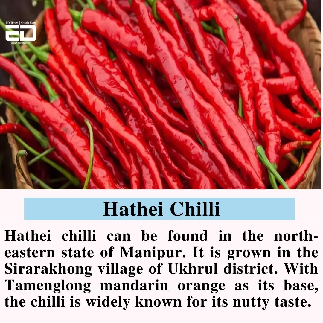 In Pics: 5 GI-Tagged Indian Chillies That Put India On The Mirchi Map