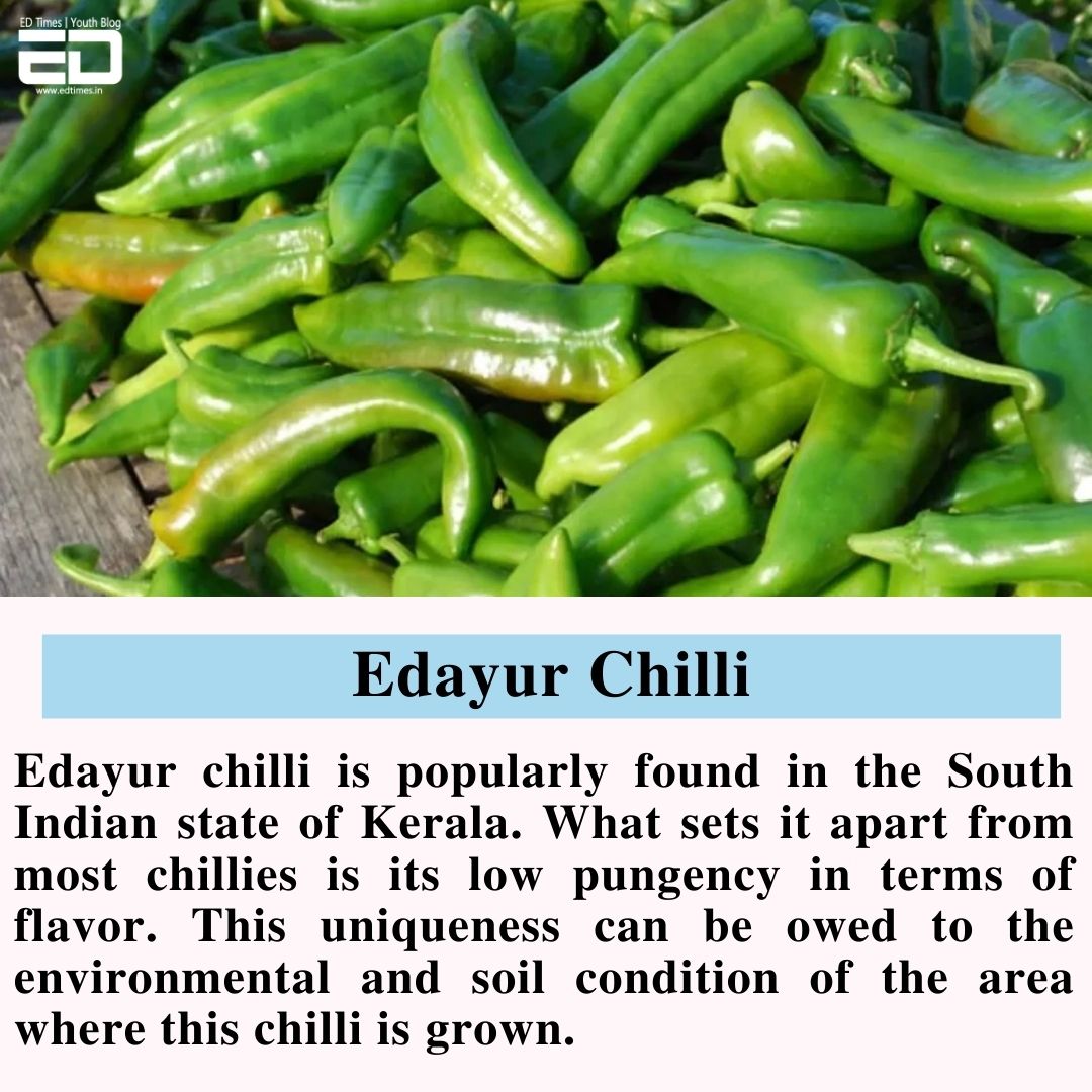 In Pics: 5 GI-Tagged Indian Chillies That Put India On The Mirchi Map